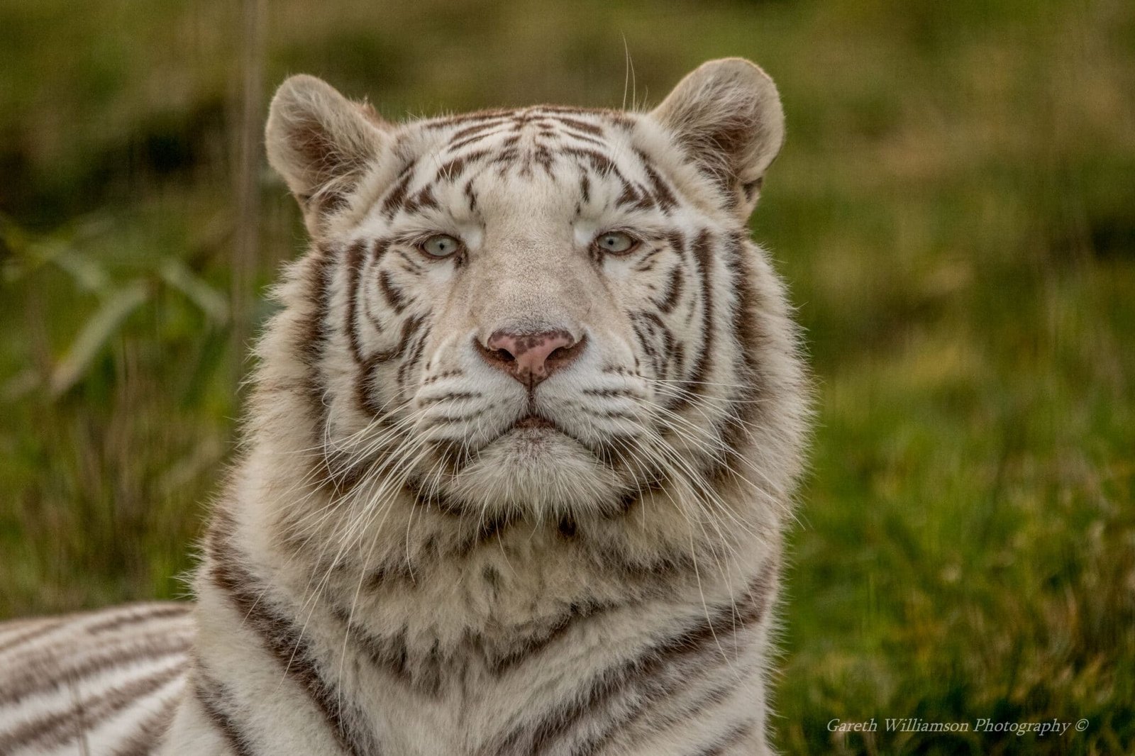 Hamerton Zoo Park - iVisit