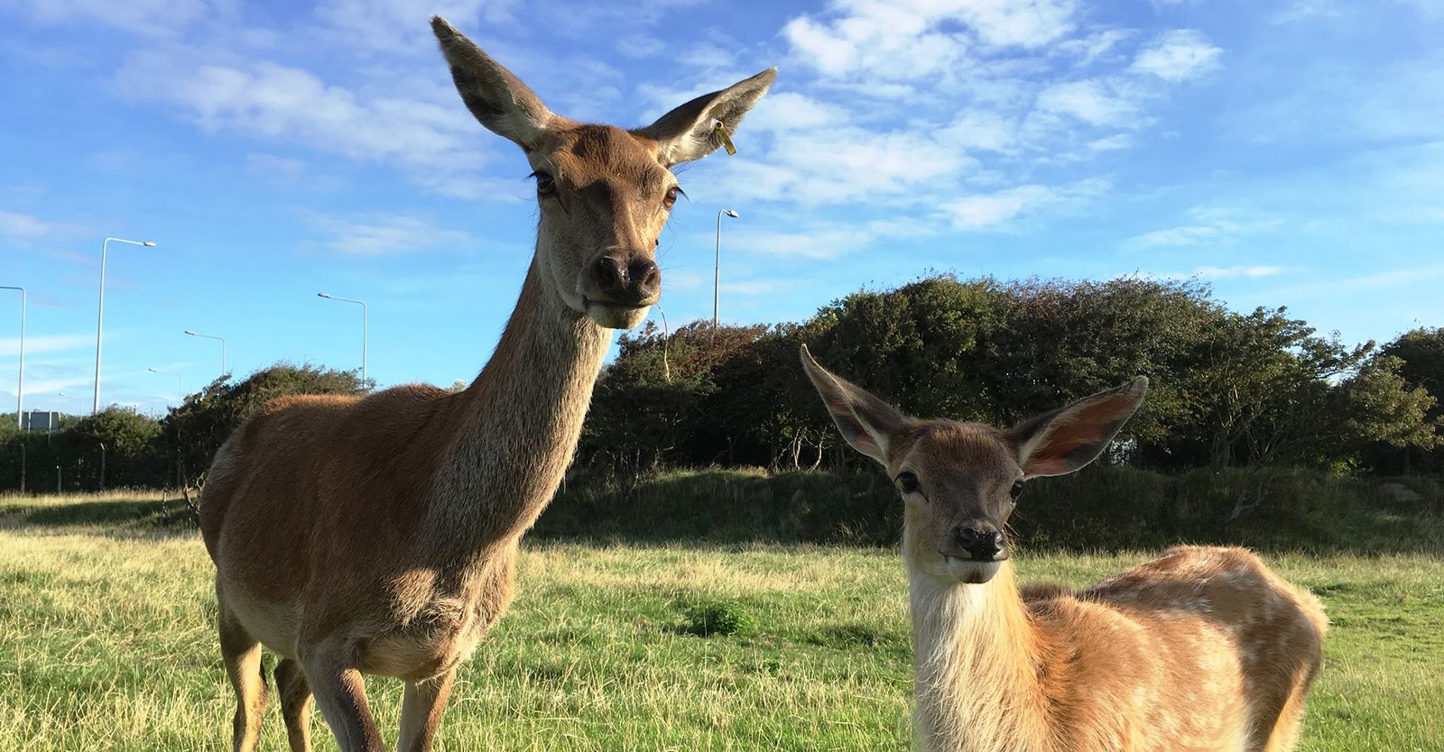 Farmer Parrs Animal World - iVisit