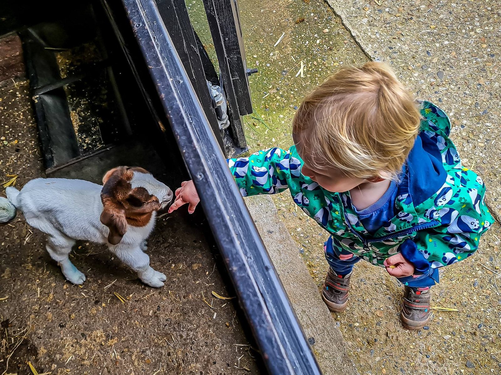 Easton Farm Park - iVisit