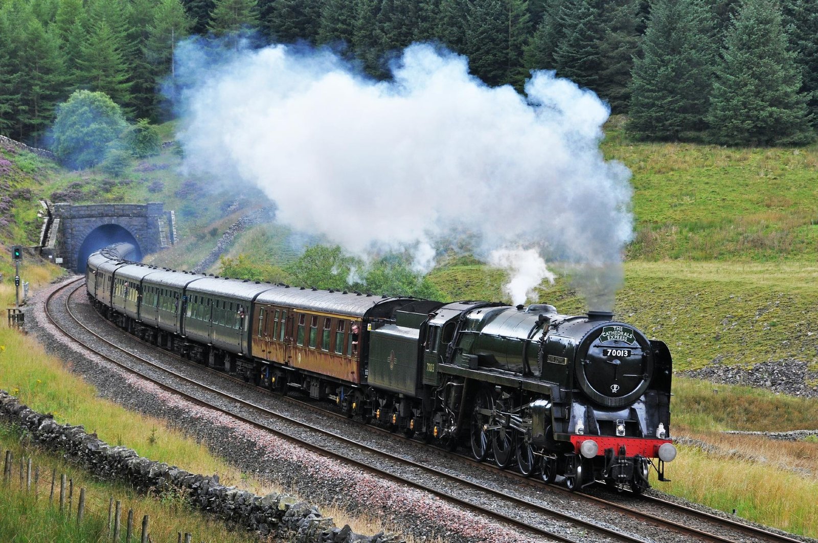 The Steam Dreams Rail Co. - iVisit