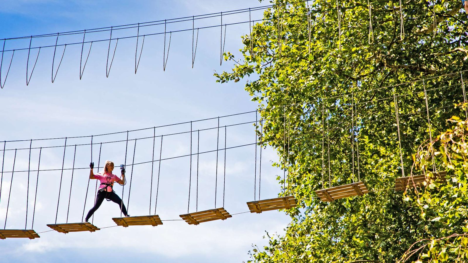 Discover Adventure From The Treetops - Go Ape England - iVisit