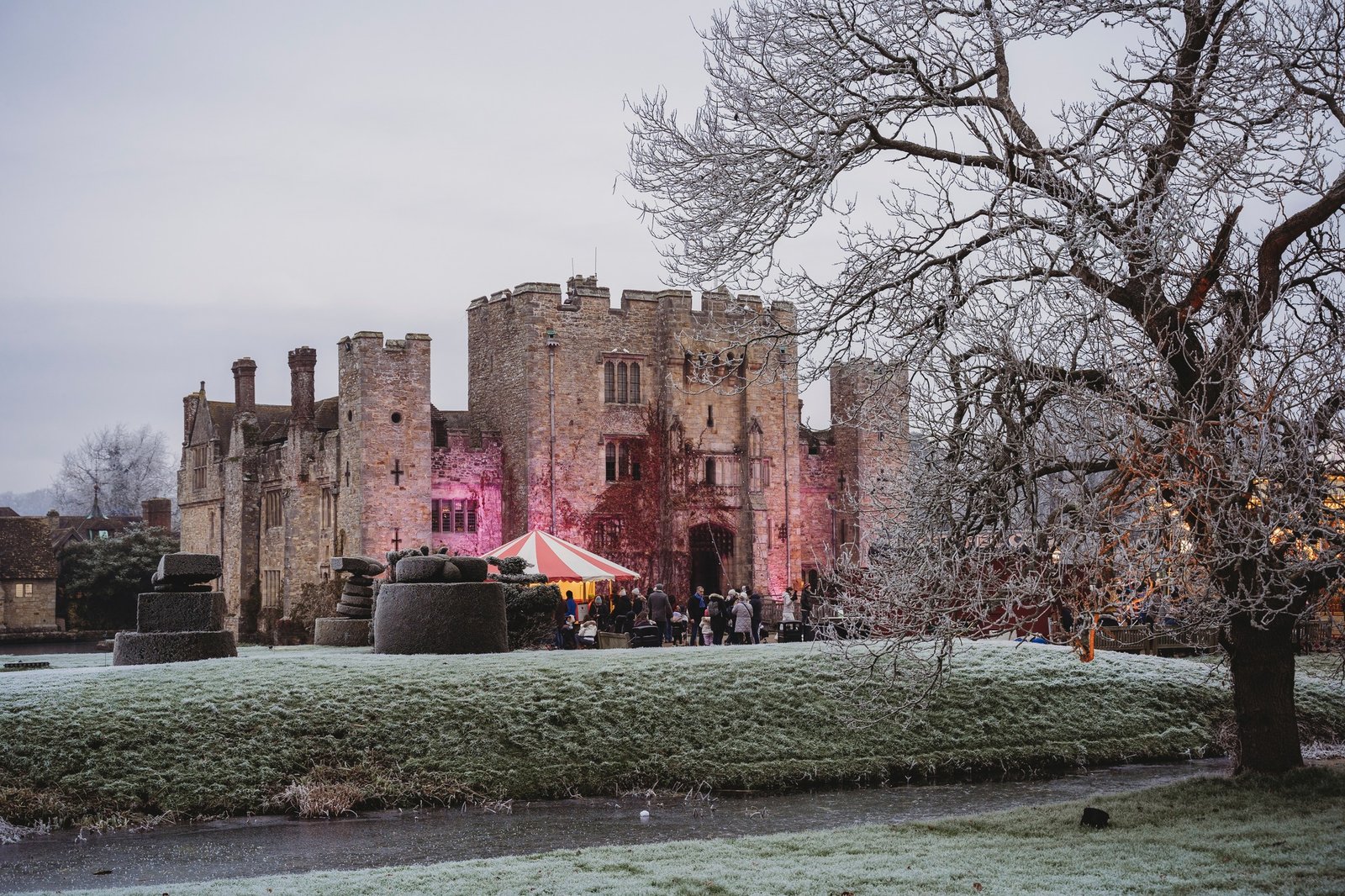 Snowdrop Walk starts 2024 season at Hever Castle - iVisit